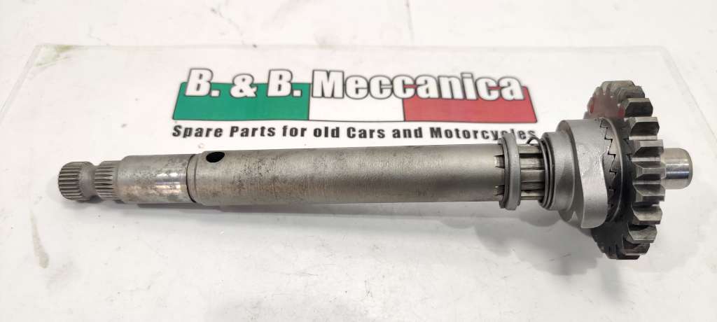 Ignition Tree Start-Up Benelli 250 2 STROKES Moto Guzzi TS Motobi ...